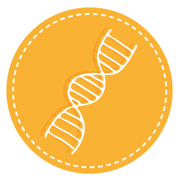 COMPRENDRE LE SYNDROME - Fragile X France